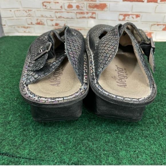 Alegria | Shoes | Alegria Iridescent Snake Scale Shoes | Poshmark